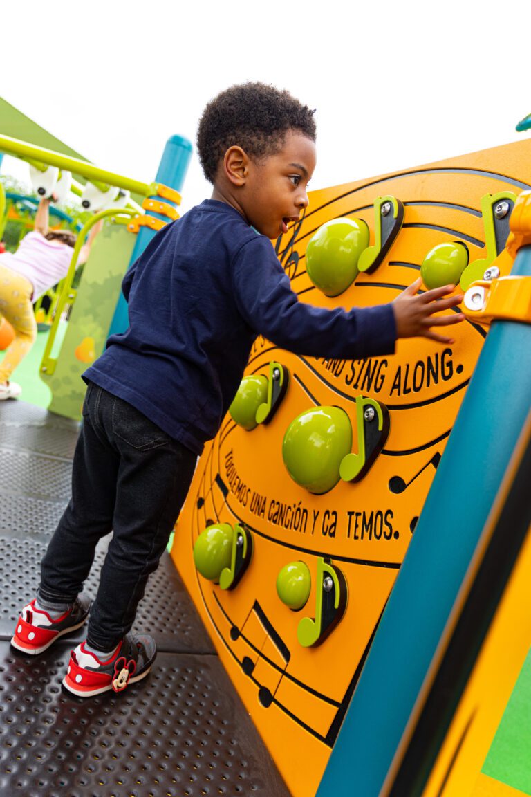Ed Thompson Inclusive Park - Lone Star Recreation