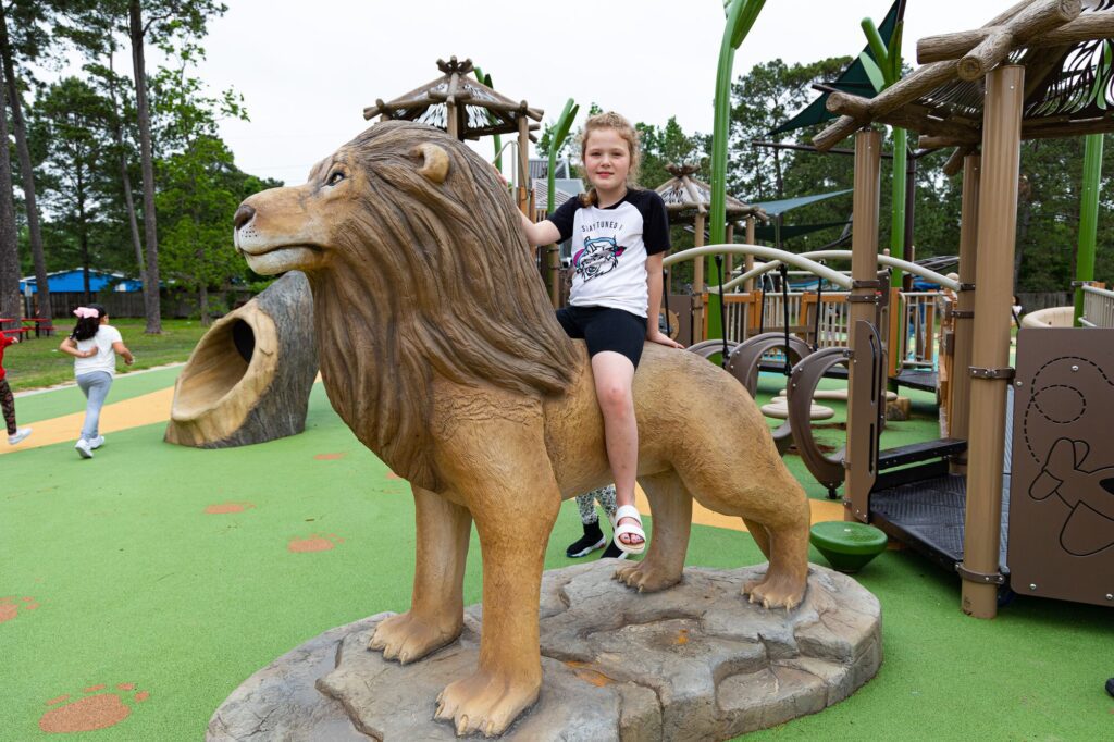 Park Lakes Elementary - Lone Star Recreation